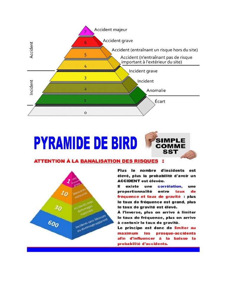 Pyramide de BIRD | PDF