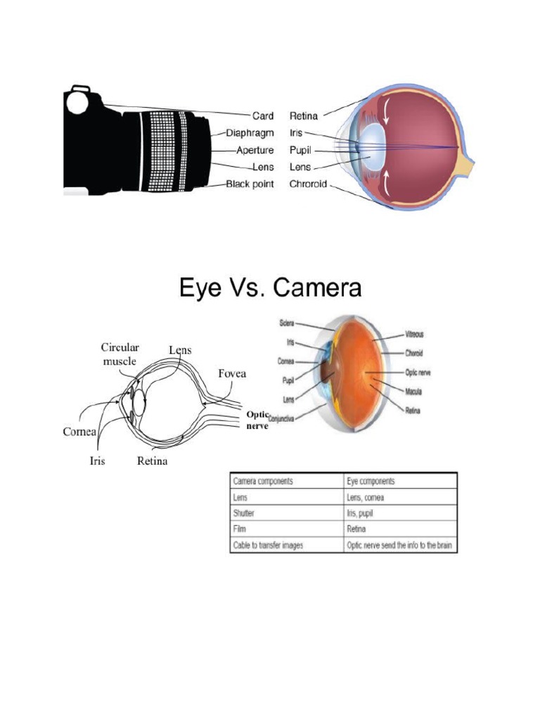 Eye Vs Camera | PDF