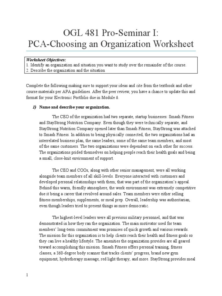 Ogl 481 Personal Case Analysis Overview | PDF | Leadership