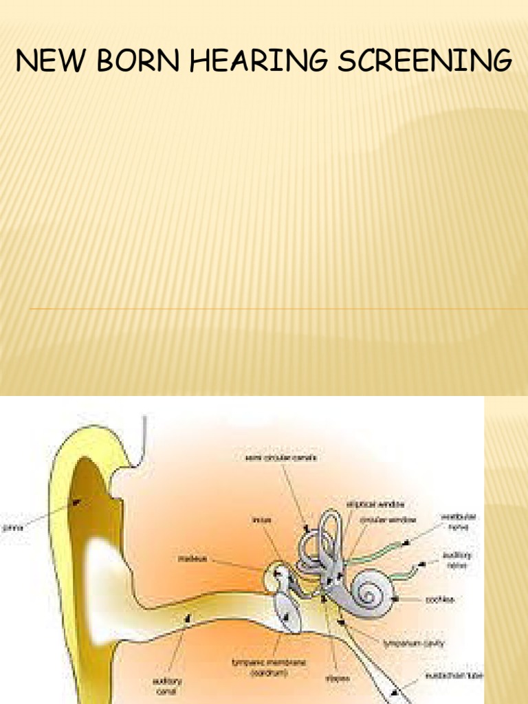 Bera Presentation | PDF | Hearing Loss | Hearing