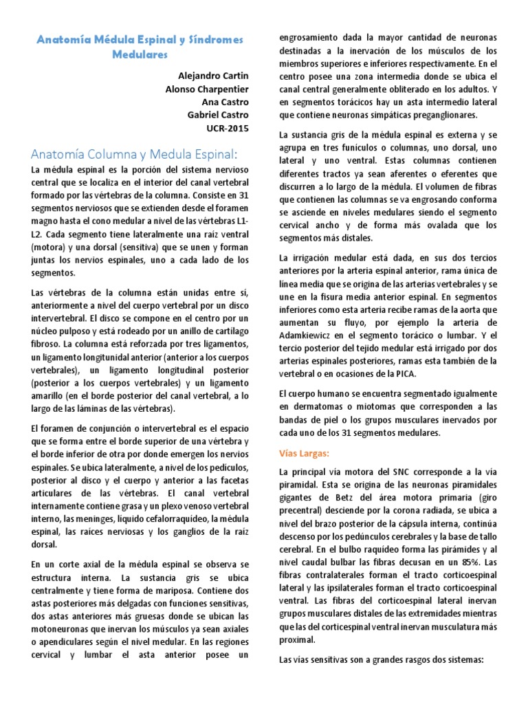 Medula | PDF | Médula espinal | La columna vertebral