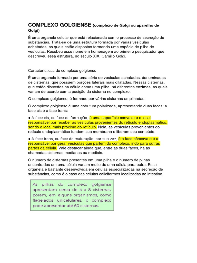 Funções e Estrutura do Complexo Golgiense | PDF | Retículo ...