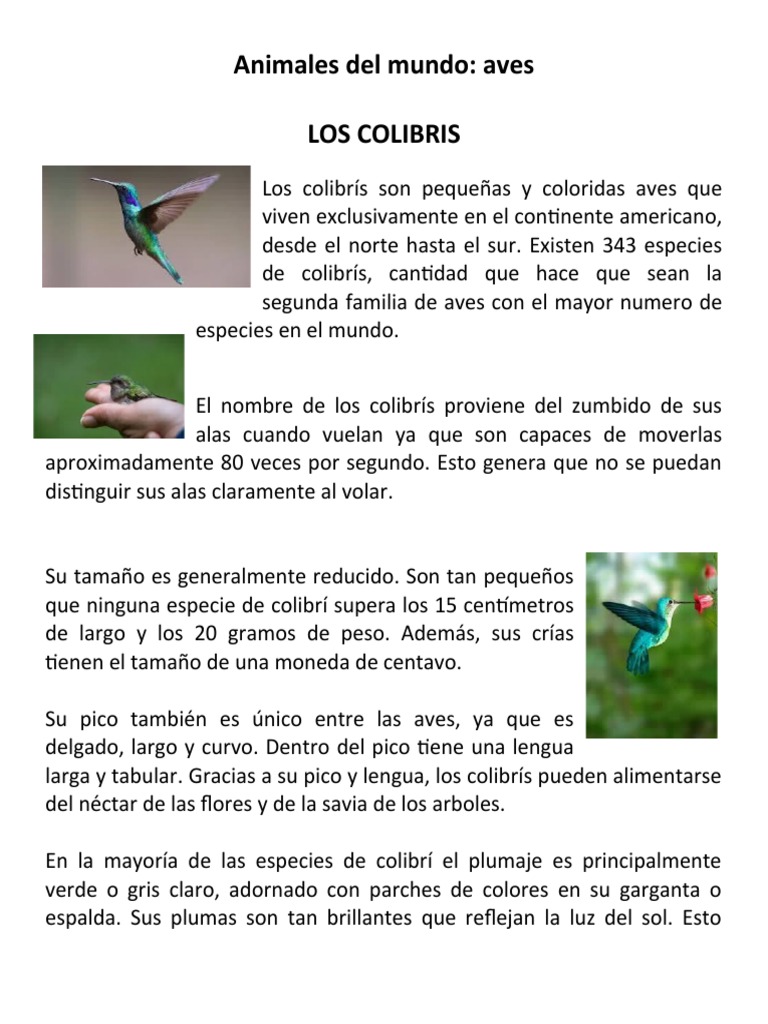 COLIBRI | PDF