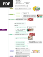 Indice Gingival Ig | PDF | Odontología | Medicina