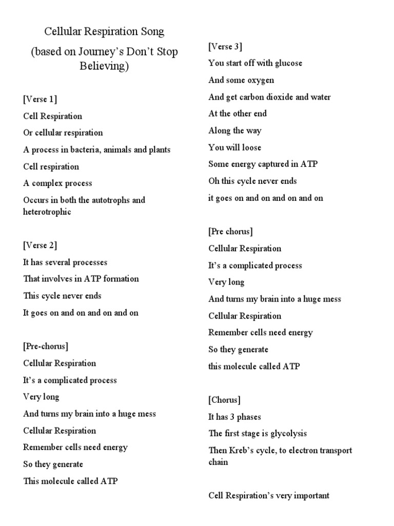 Cellular Respiration Song (Based On Journey's Don't Stop Believing) | PDF
