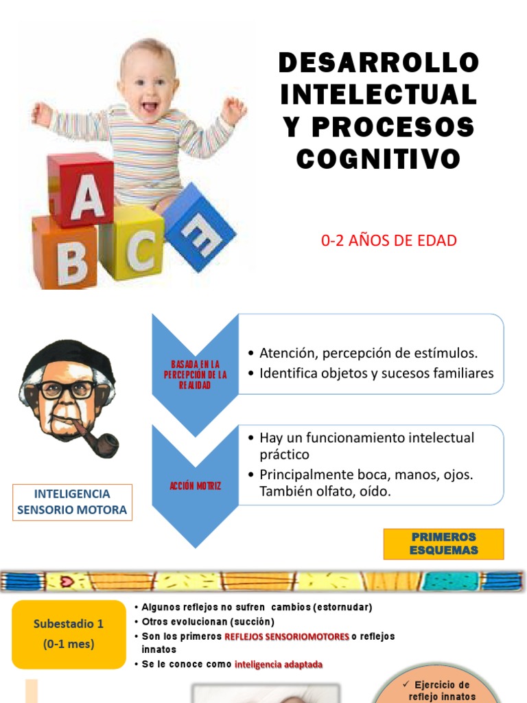 Desarrollo Intelectual | PDF | Percepción | Neurociencia Cognitiva