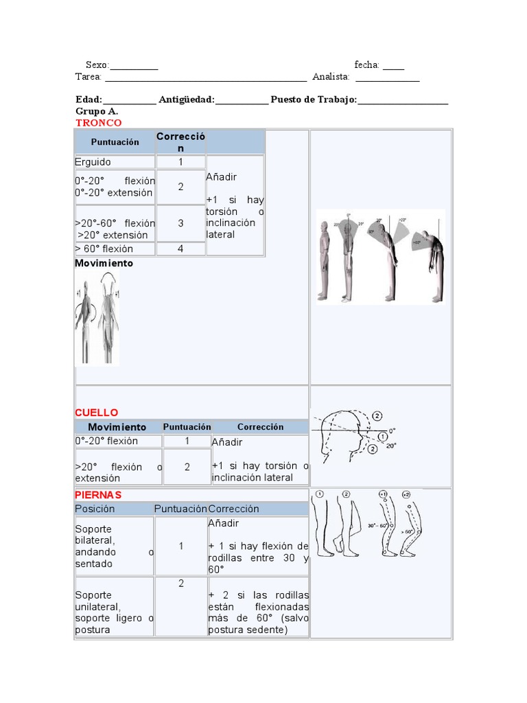 Reba Formato Instrumento | PDF | Mano | Rodilla