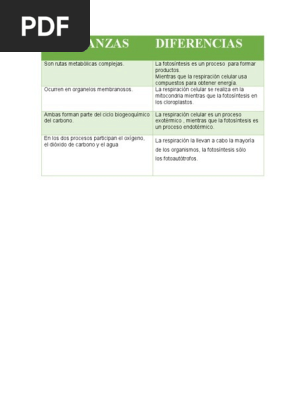 Hoja De Trabajo De Respiración Celular, Biología Avanzada Biología