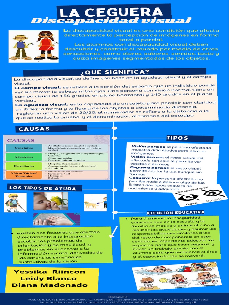 Infografia Ceguera | PDF | Percepción visual | Discapacidad visual