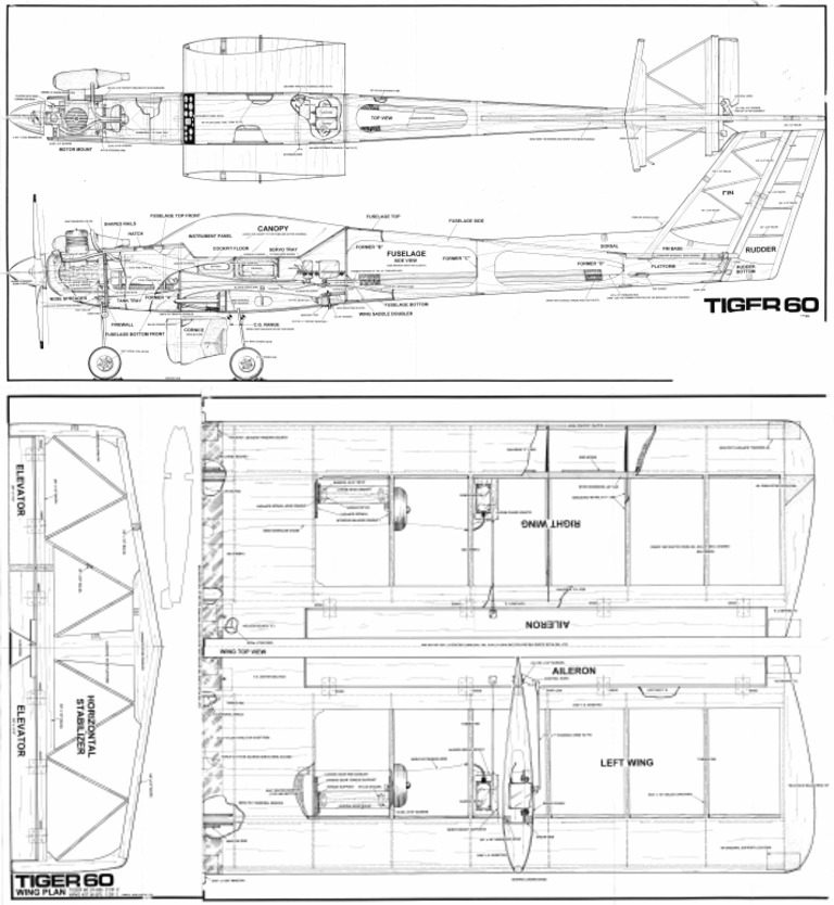 Carl Goldberg Tiger 60 | PDF