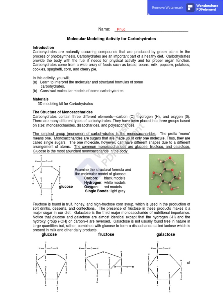 Carbs Activity | PDF | Carbohydrates | Polysaccharide