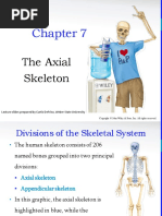 Chapter 7 Lab Assignment - Axial Skeleton Labeling | PDF | Vertebra | Skull