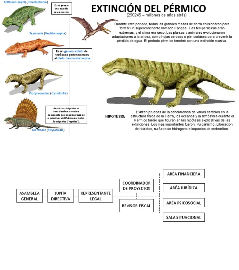Extinción Masiva del Pérmico: Causas y Adaptaciones | PDF | Naturaleza