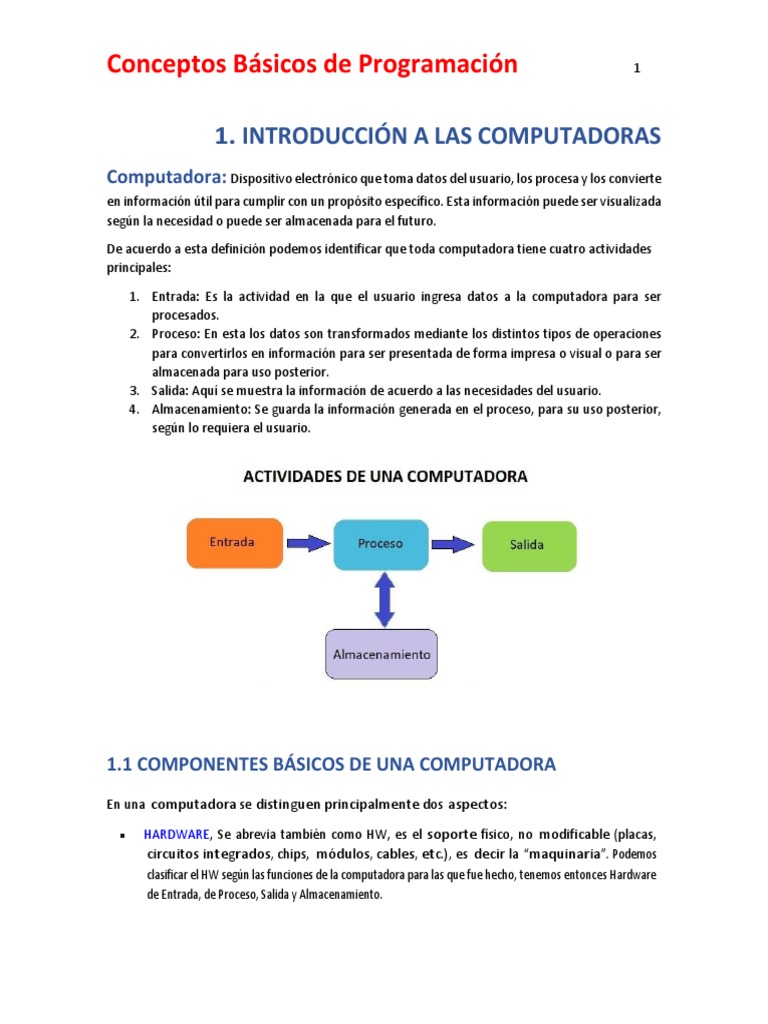 Conceptos Básicos de Programación | PDF | Programación | Programa de computadora