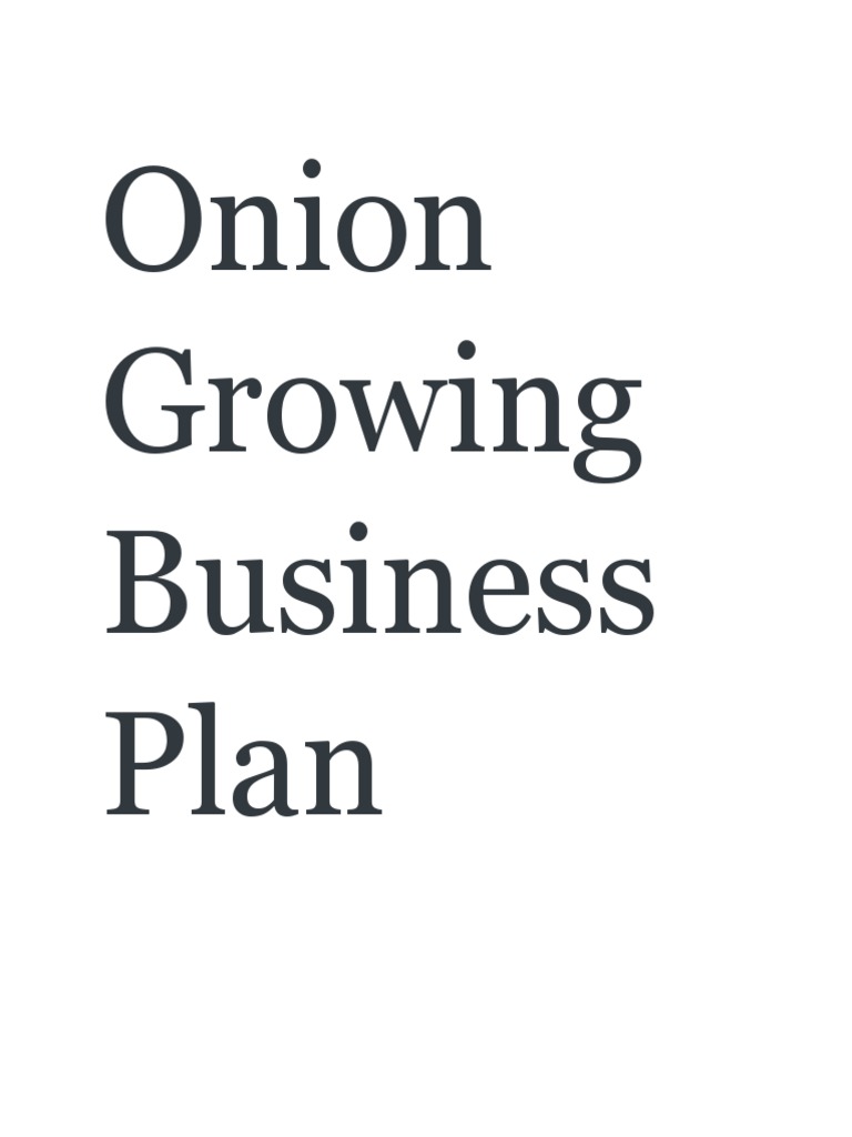 Onion Growing Business Plan | PDF