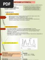 Efecto Poseiro | PDF | Placenta | Feto