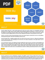Sky Organizational Chart | PDF