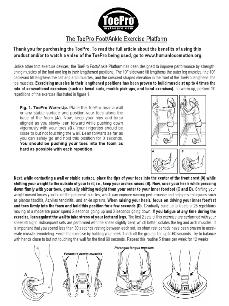 The Toepro Foot/Ankle Exercise Platform | PDF | Foot | Toe