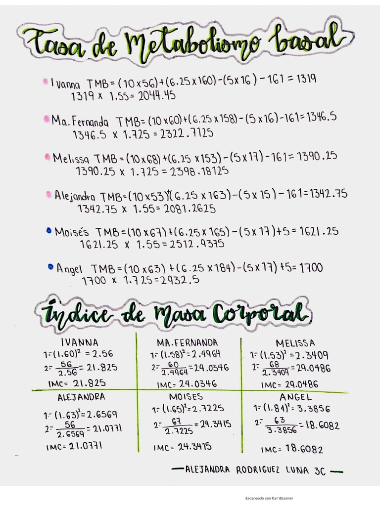 Alejandra Rodríguez Luna - Hoja de Cálculos TMB - IMC | PDF