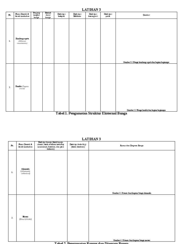 Tabel Prak SPT Struktur Bunga | PDF