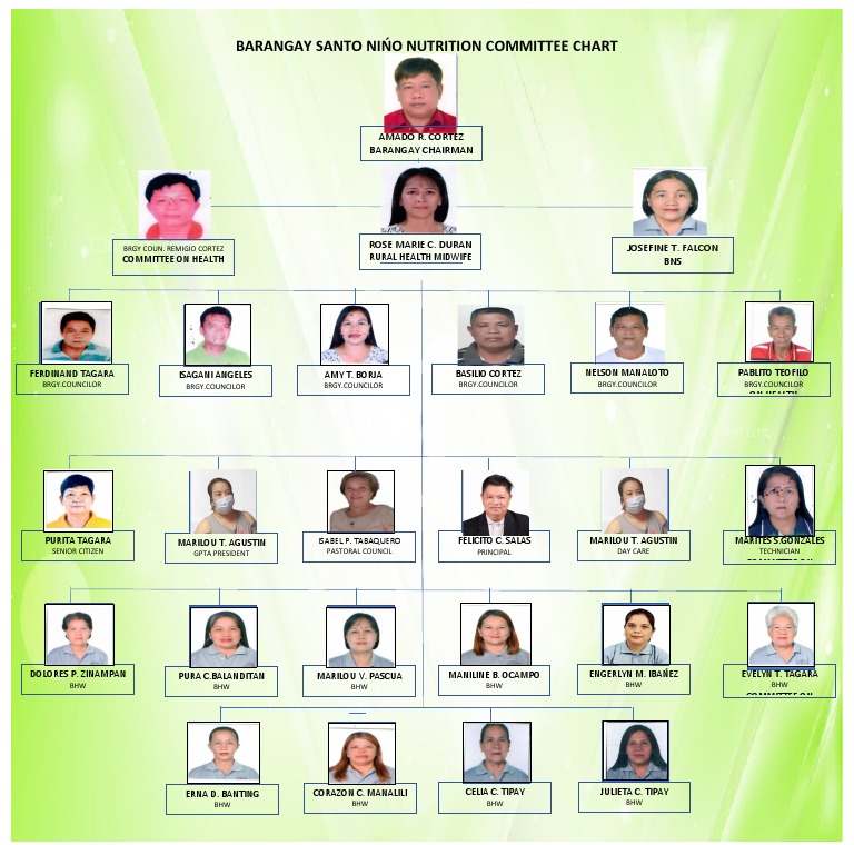 Barangay Nutrition Committee Chart | PDF