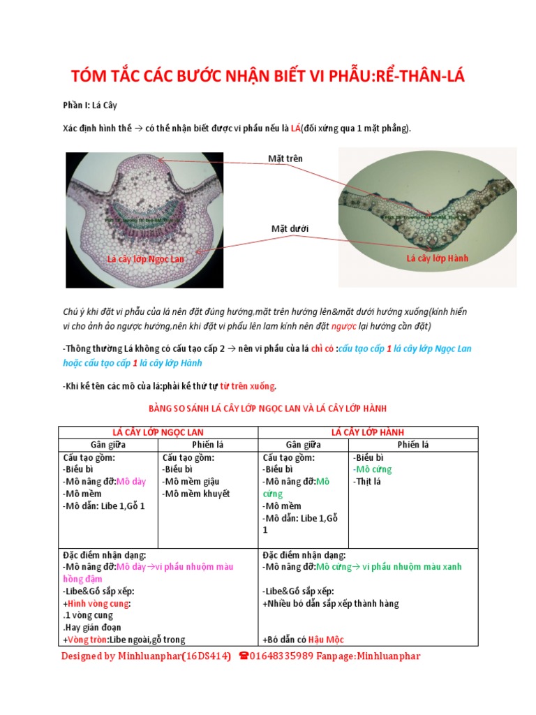 Tom Tac Cac Buoc Nhan Biet Re Than La by Luan | PDF