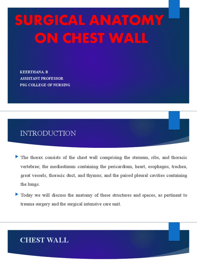 Surgical Anatomy of Chest Wall | PDF | Thorax | Lung