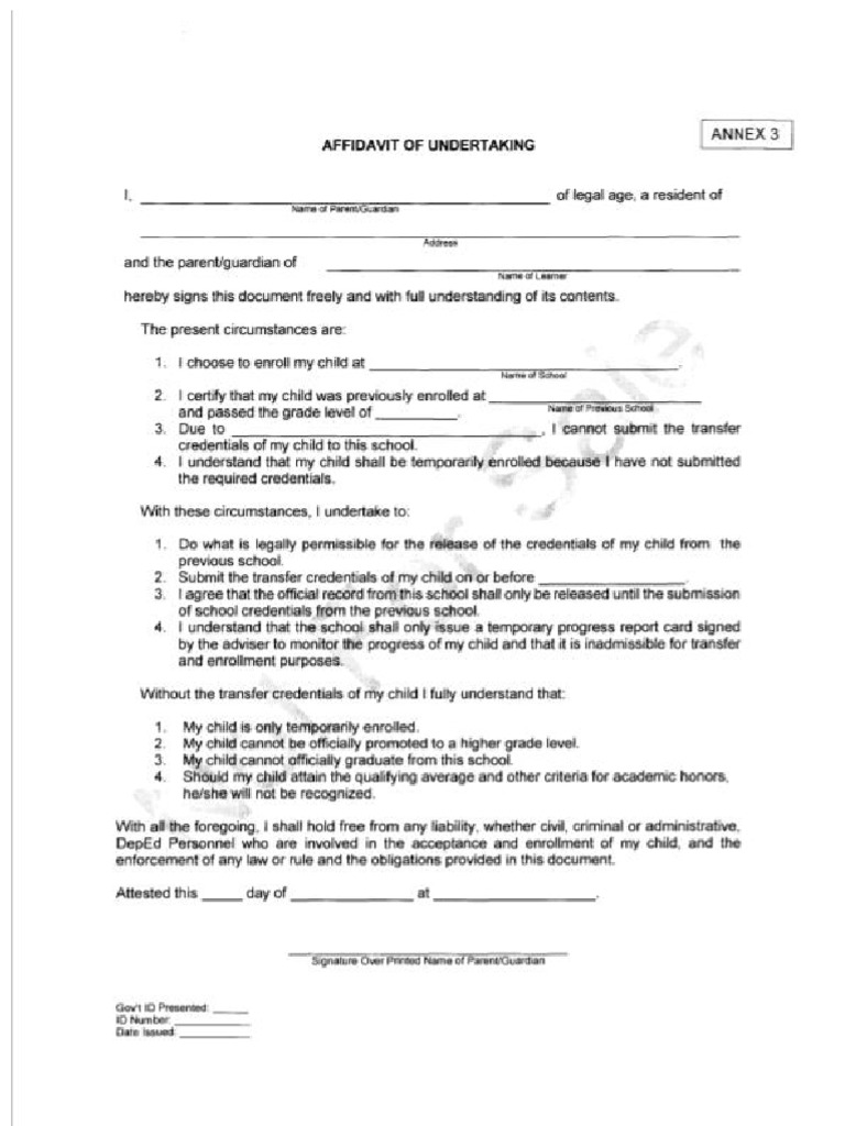 AFFIDAVIT | PDF