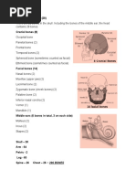 Human Skeleton All Bones Chart | PDF | Anatomy | Musculoskeletal System