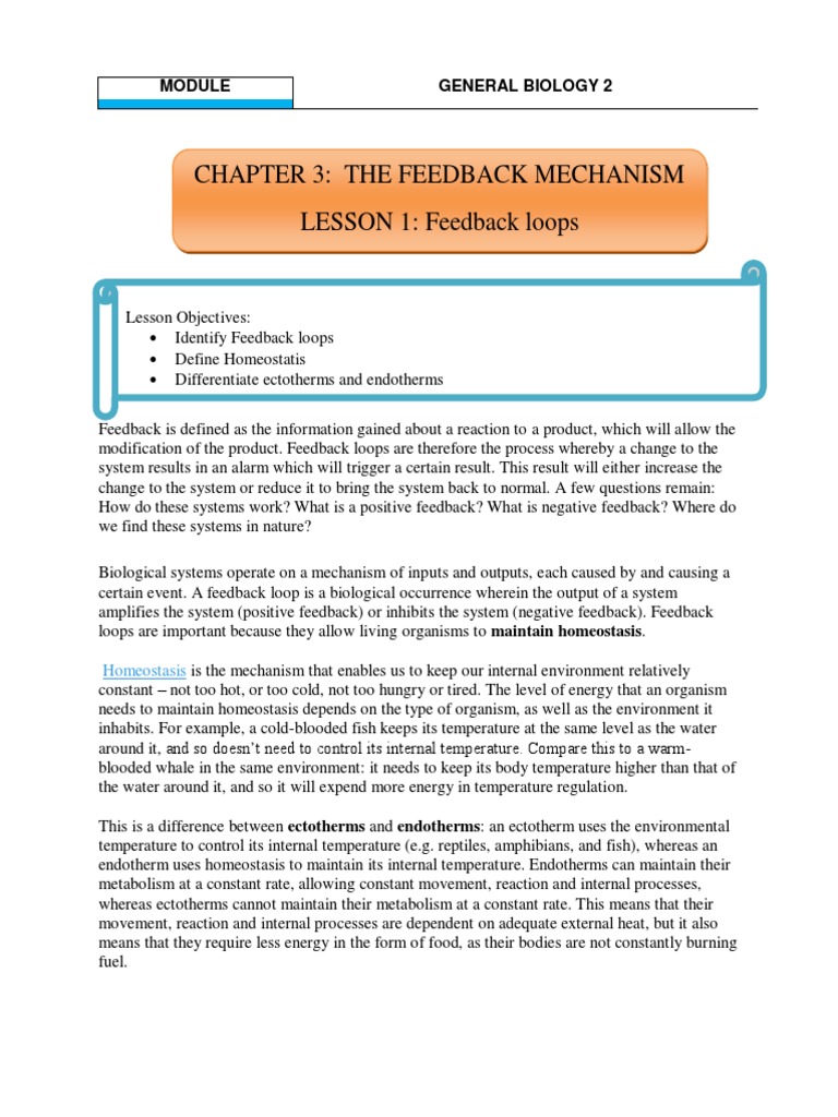 Chapter 3: The Feedback Mechanism LESSON 1: Feedback Loops: General ...
