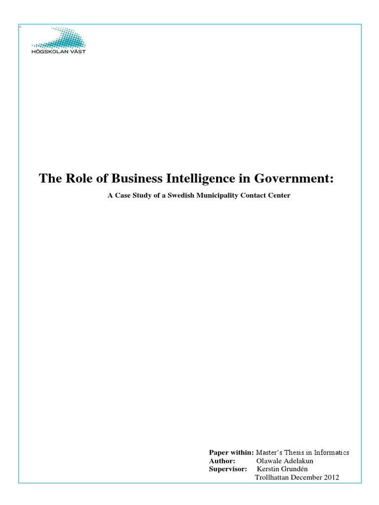 The Role of Business Intelligence in Government | PDF | Business ...