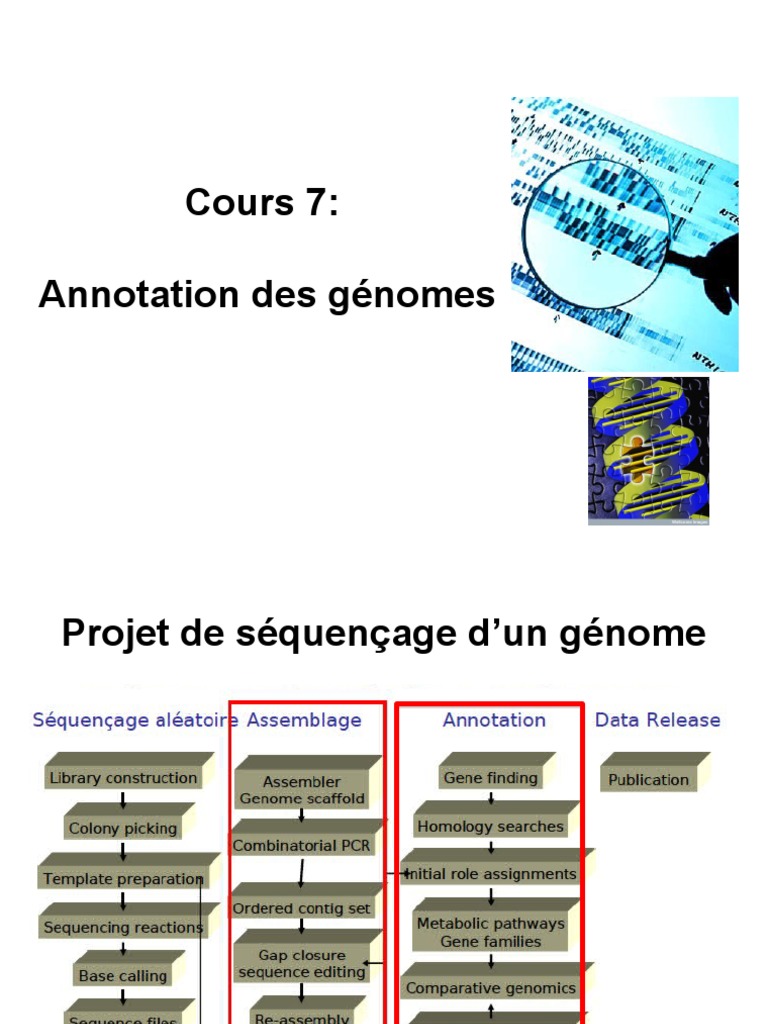 cours_annotation_06 | PDF | Open Reading Frame | Genetics