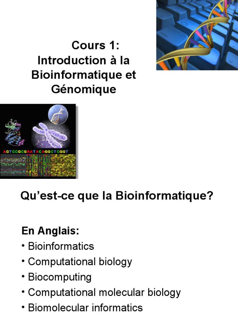Cours1 Bioinfo Intro | PDF | Gènome | Bio-informatique