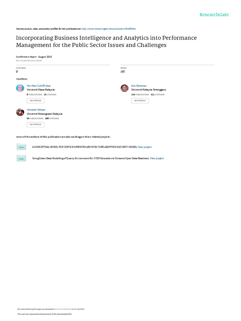 Public Sector BIA Implementation Issues | PDF | Business Intelligence ...