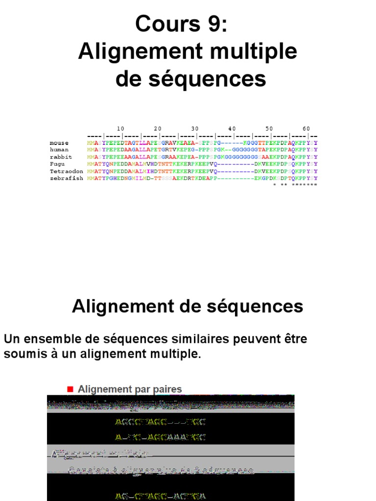 Cours9 Bioinfo MSA | PDF | Protéines | Alignement de séquences