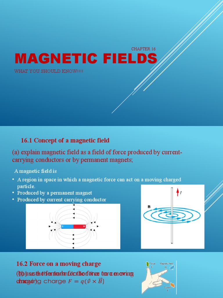 Magnetic Fields: What You Should Know!!!! | PDF | Magnetic Field | Force