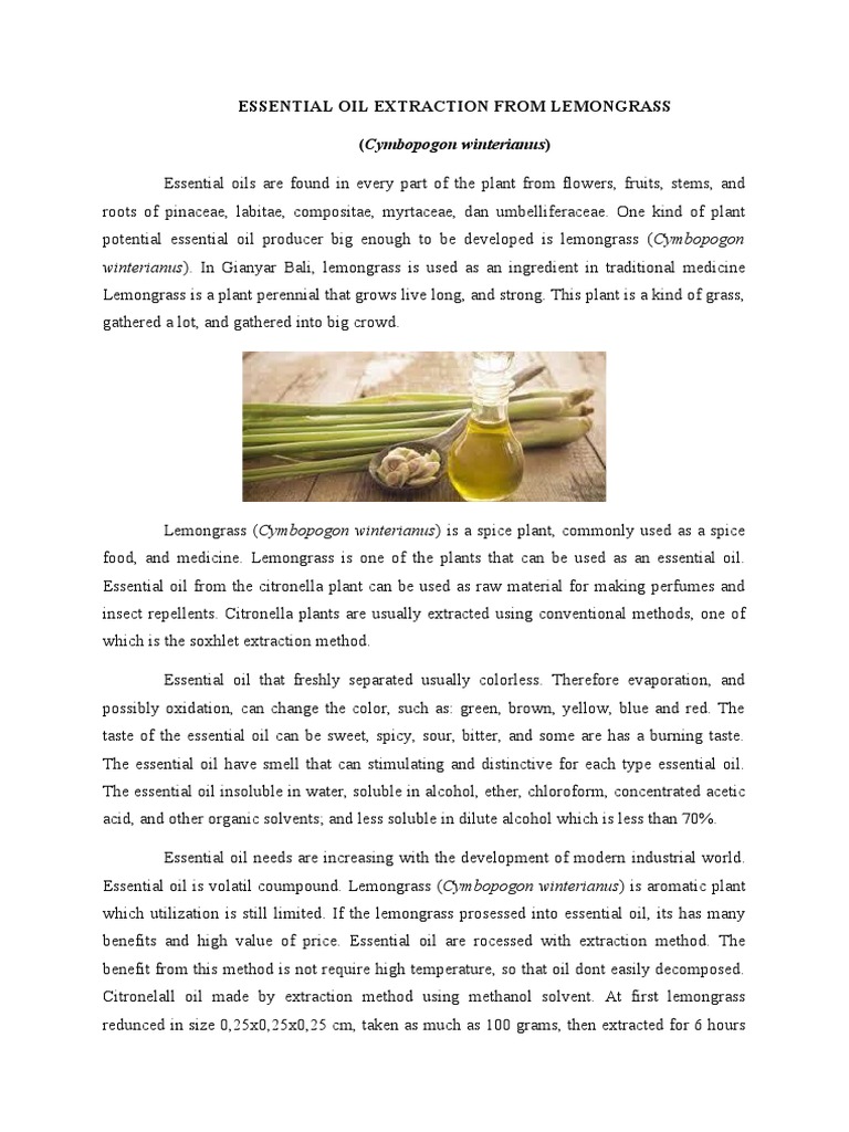 Essential Oil Extraction From Lemongrass | PDF | Essential Oil | Solvent