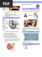 Escala de Child Pugh | PDF