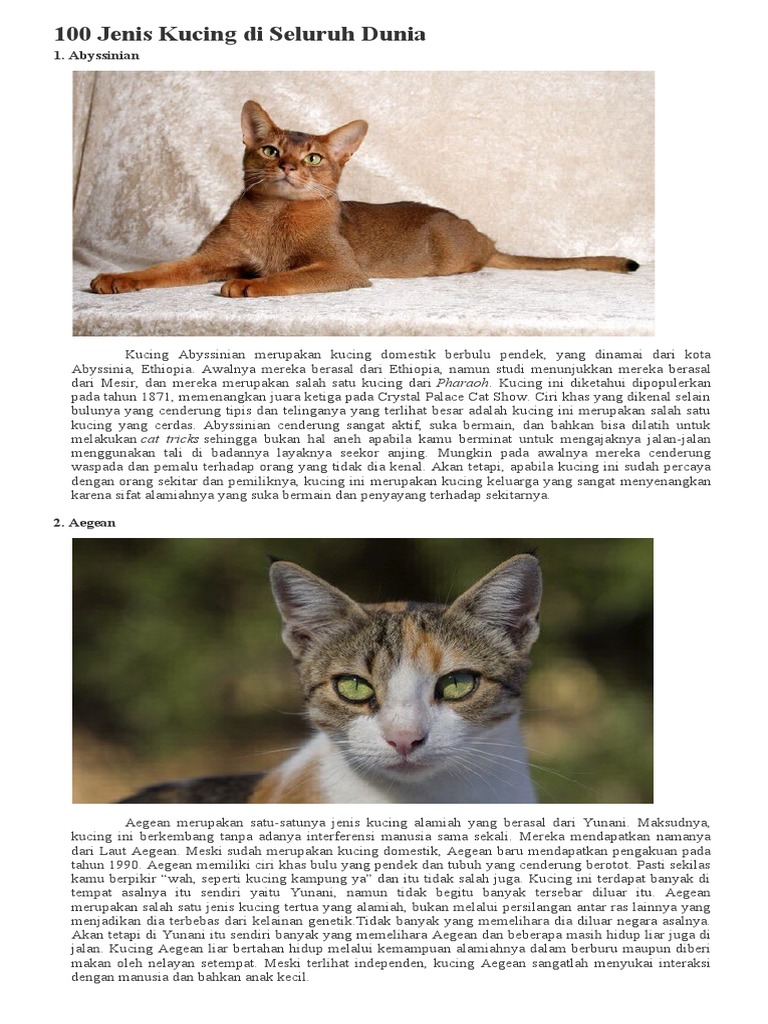 100 Jenis Kucing Di Seluruh Dunia | PDF