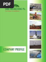 Small Construction Company Profile | PDF | Project Management | Procurement