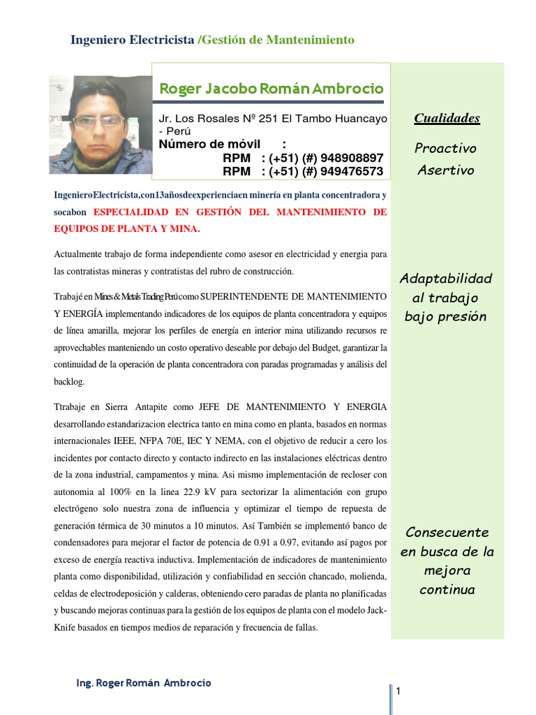 CV Roger Roman Septiembre 2021 | PDF | Ingenieria Eléctrica | Minería