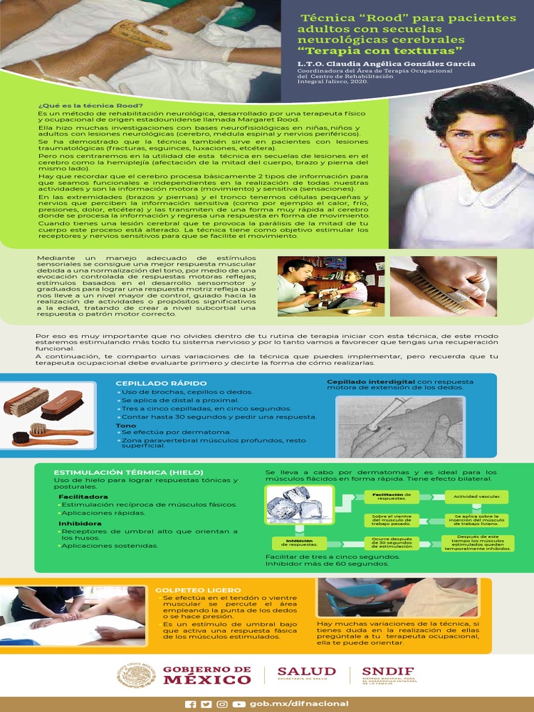 Tecnica de Rood Terapia Con Texturas | PDF | Cerebro | Neurología