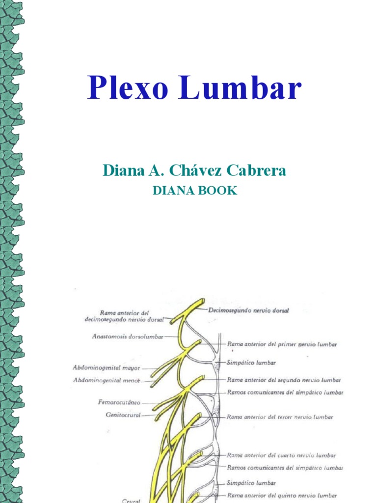 Plexo Lumbar Slideshare | PDF