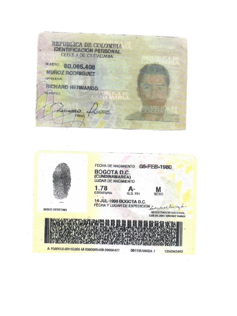 Cedula Ing Richard | PDF