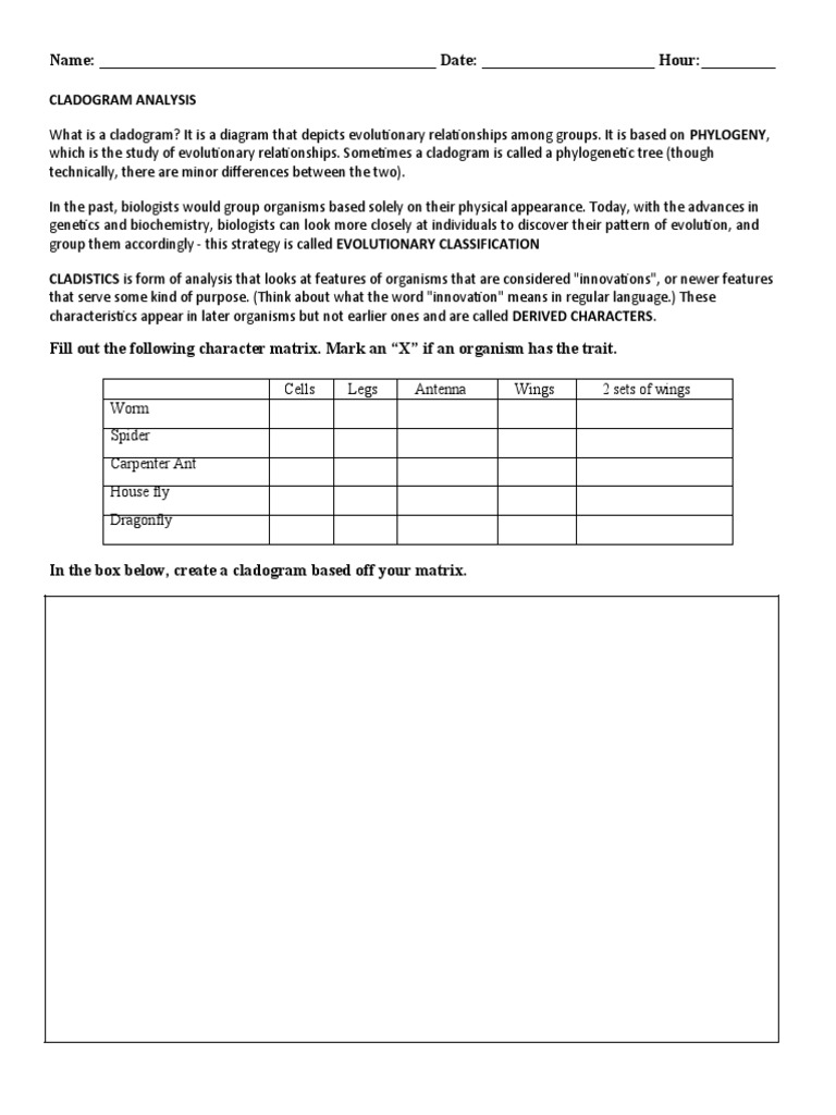 Cladistics Worksheet | PDF