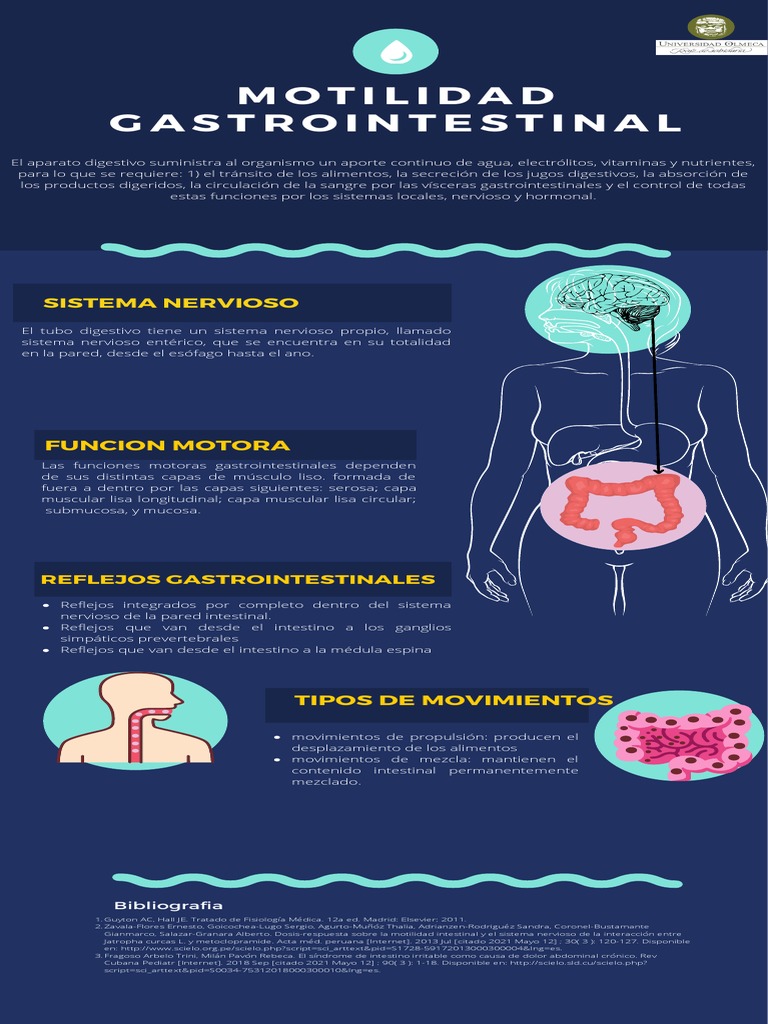 Motilidad Gastrointestinal | PDF | Tracto gastrointestinal | Sistema ...