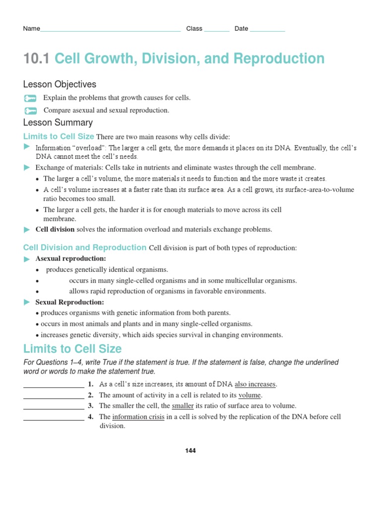 Cell Growth, Division, and Reproduction: Limits To Cell Size | PDF ...