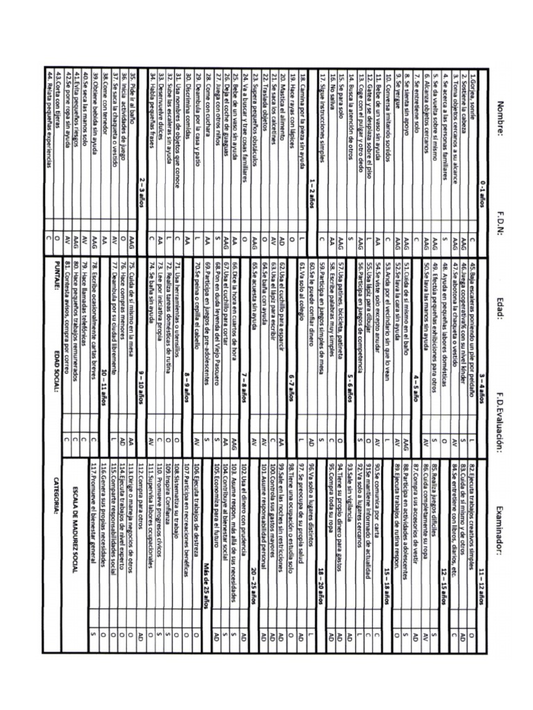 Protocolo Vineland | PDF