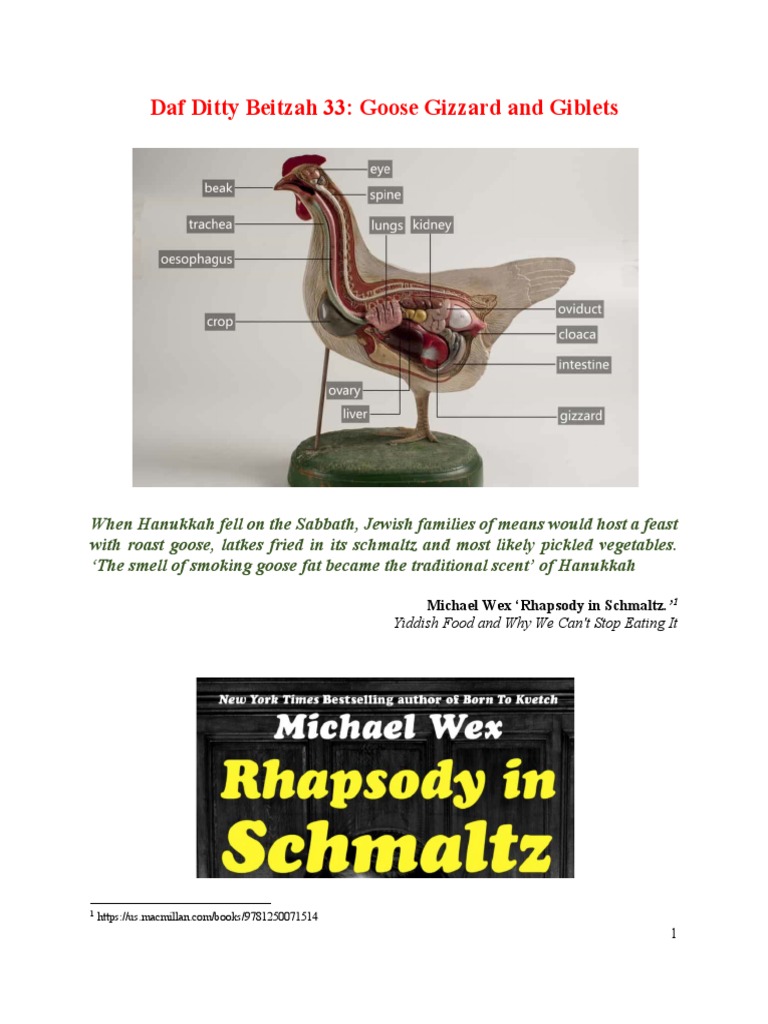 Beitzah 33 | PDF | Digestion | Human Digestive System