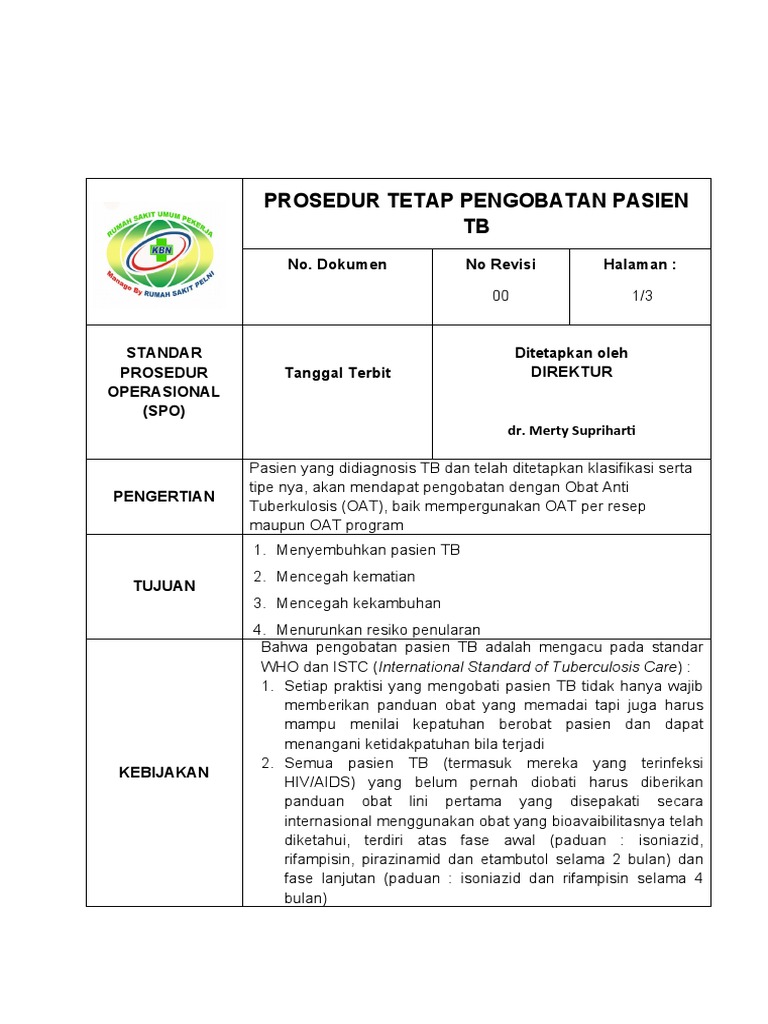 13.SPO Protap Pengobatan Pasien TB | PDF